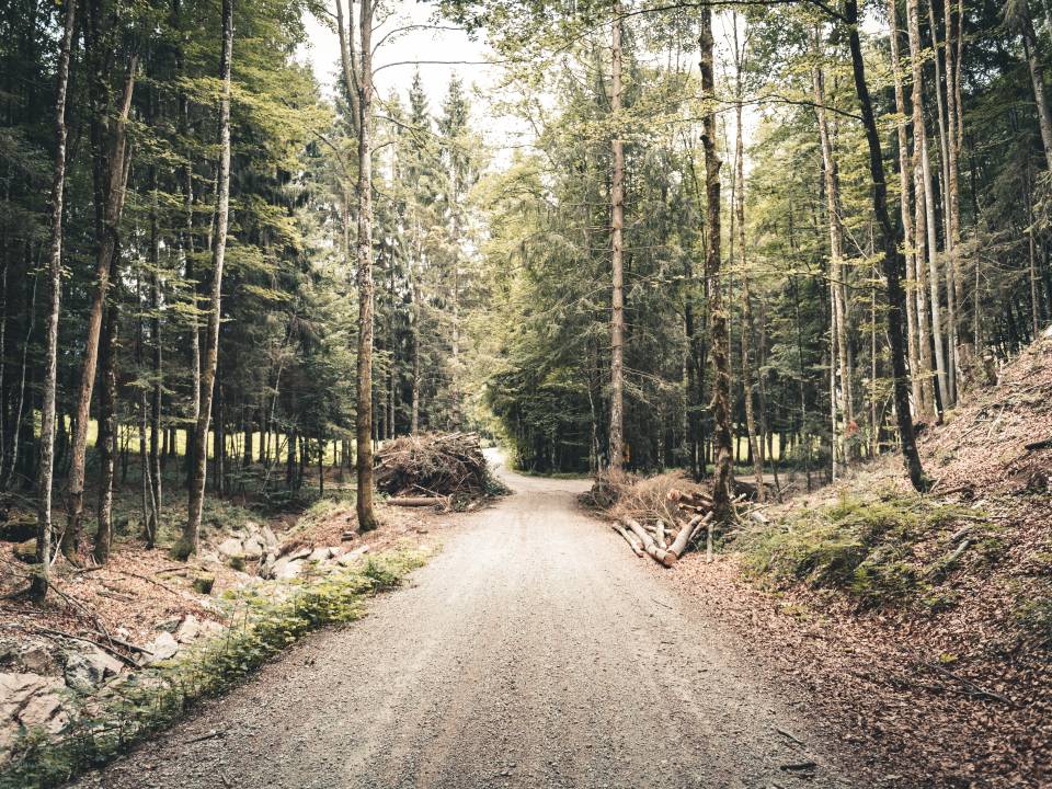 Retreats auf Gut Steinbach - GUT STEINBACH